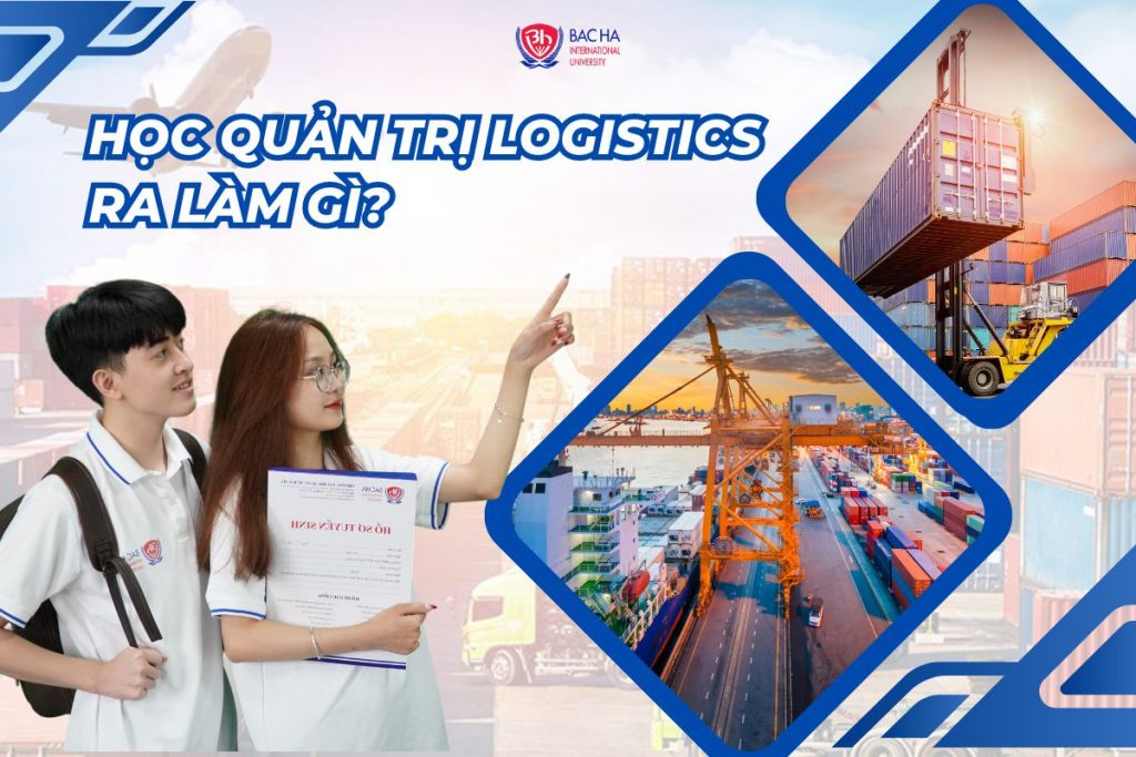 Học Quản trị Logistics ra làm gì? Có nên theo học không?
